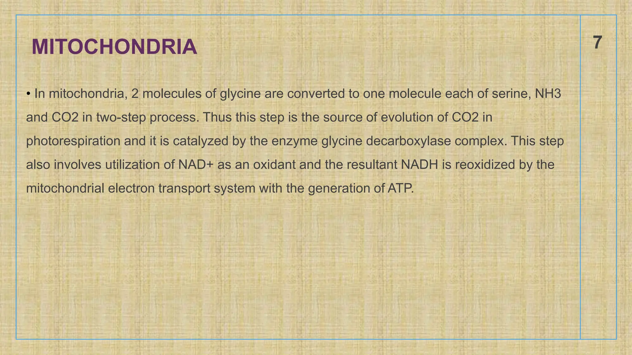 Photorespiration & functioning of Rubisco enzyme | PPTX