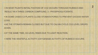Photorespiration & functioning of Rubisco enzyme | PPTX