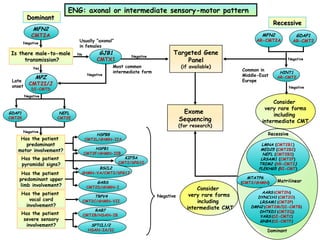 Dr. Davide Pareyson - 'Neuropatías periféricas hereditarias' | PPT