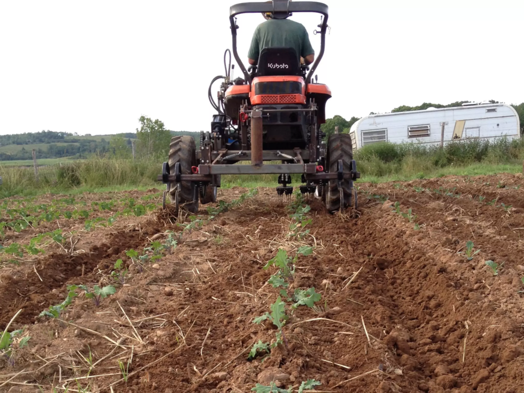 Farm Hack David Greenberg | PPT