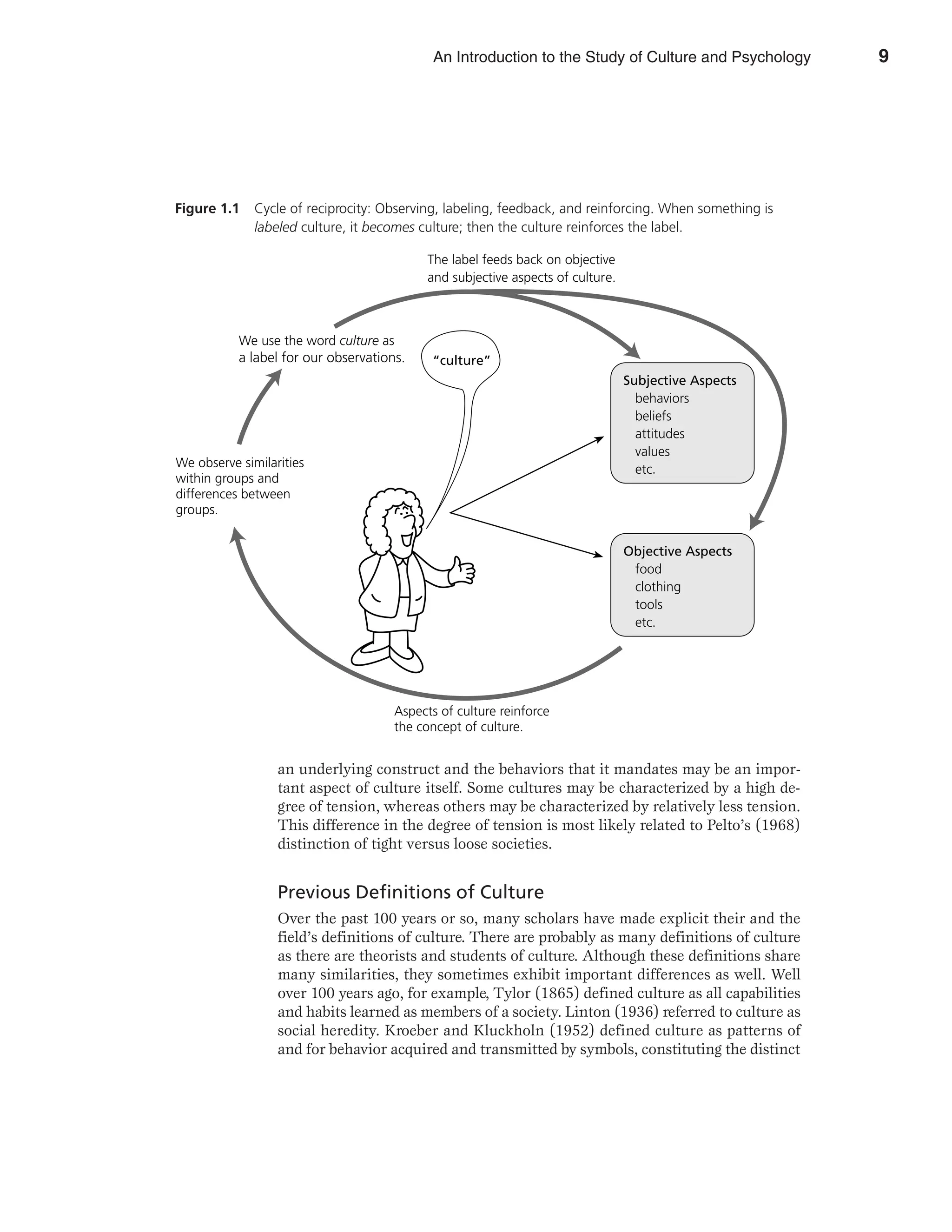 David Matsumoto, Linda Juang - Culture and Psychology -Wadsworth Publishing (2003).pdf