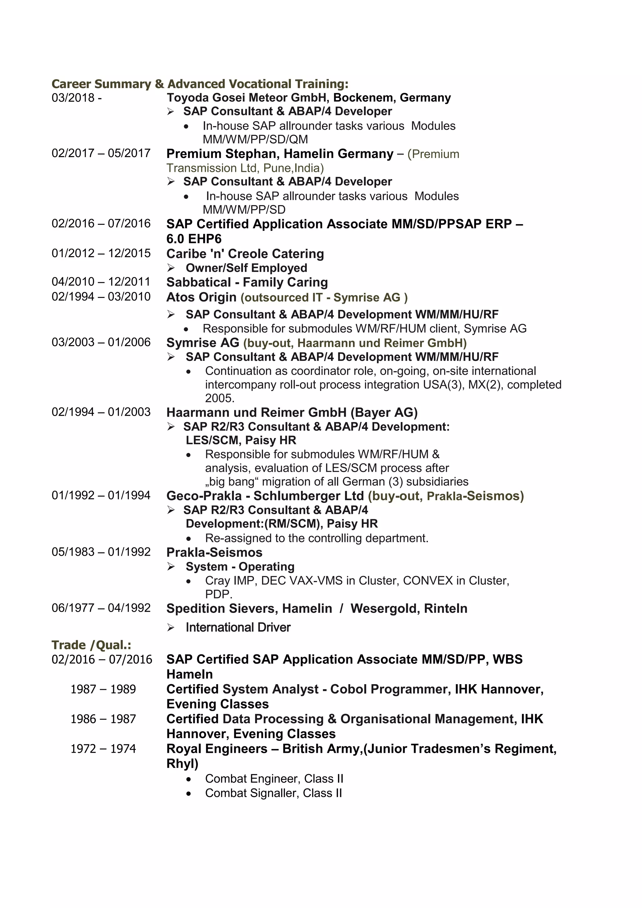 David miles Resumee short-profile | PDF