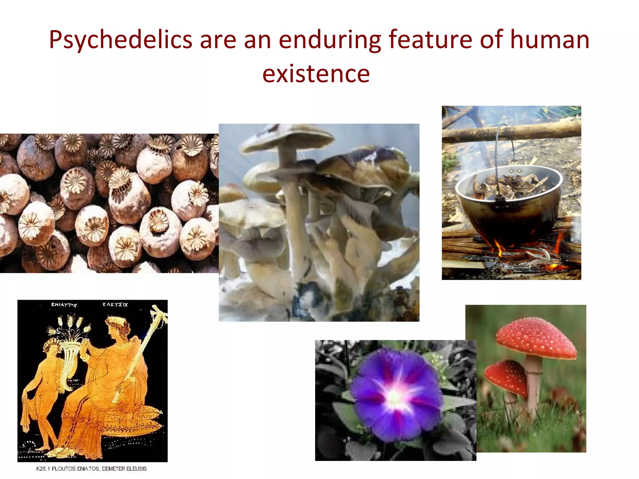 PROFESSOR DAVID NUTT - PSYCHEDELIC ASSISTED PSYCHOTHERAPY – NEW ...