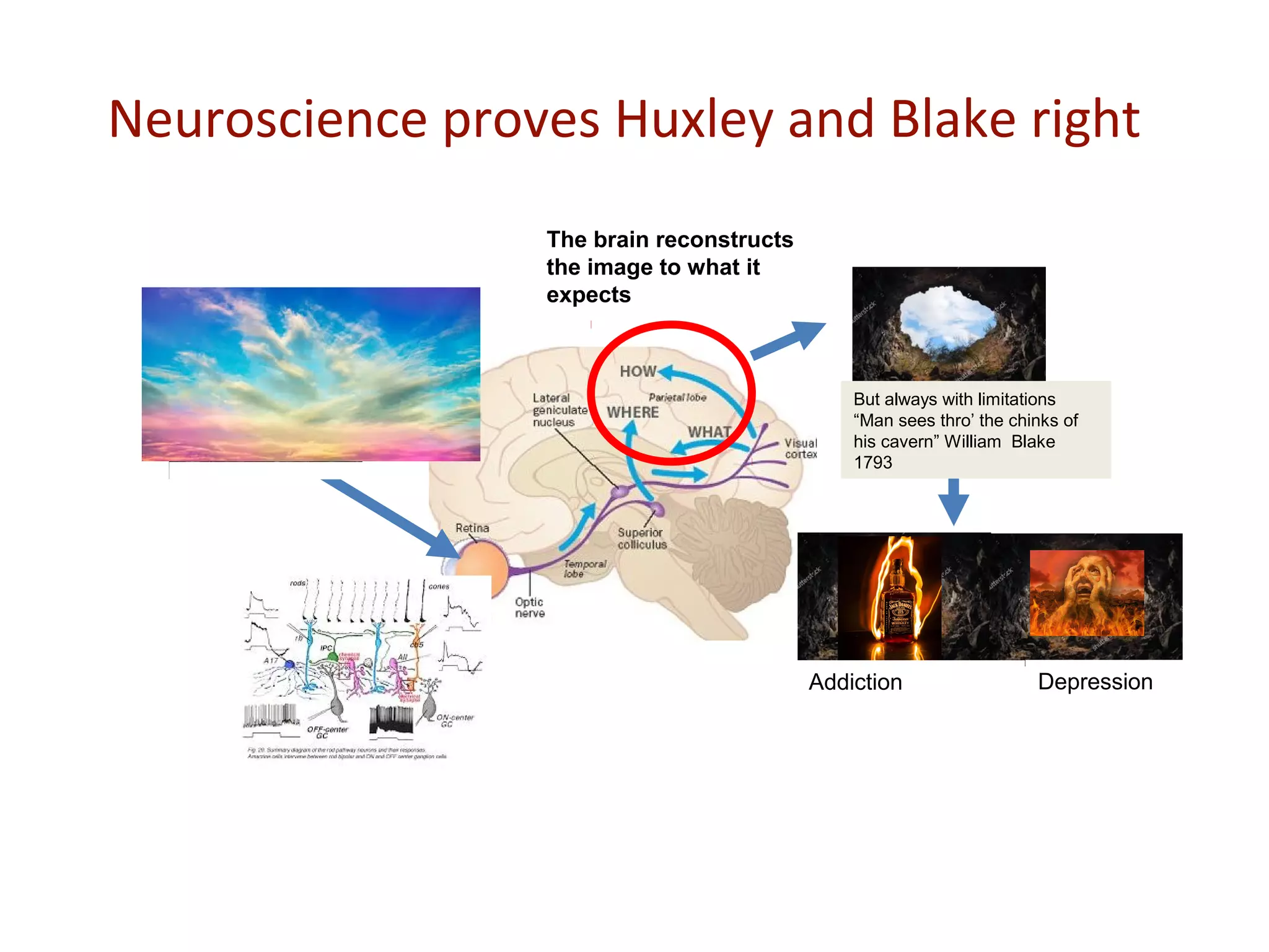 PROFESSOR DAVID NUTT - PSYCHEDELIC ASSISTED PSYCHOTHERAPY – NEW ...