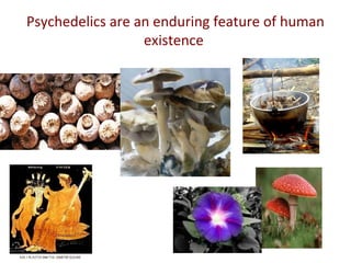PROFESSOR DAVID NUTT - PSYCHEDELIC ASSISTED PSYCHOTHERAPY – NEW ...