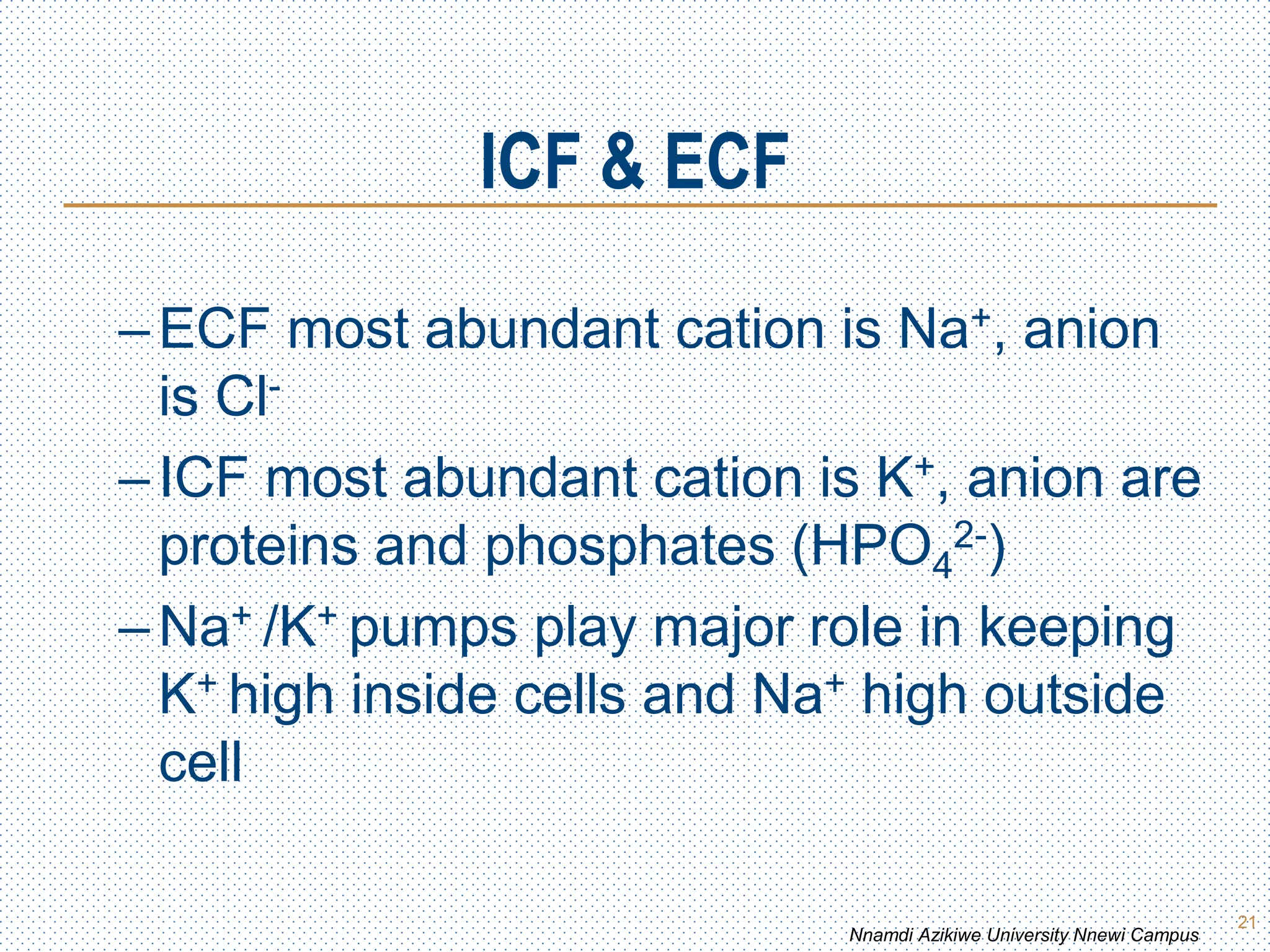 Body Fluids and Electrolyte Homeostasis | PPTX