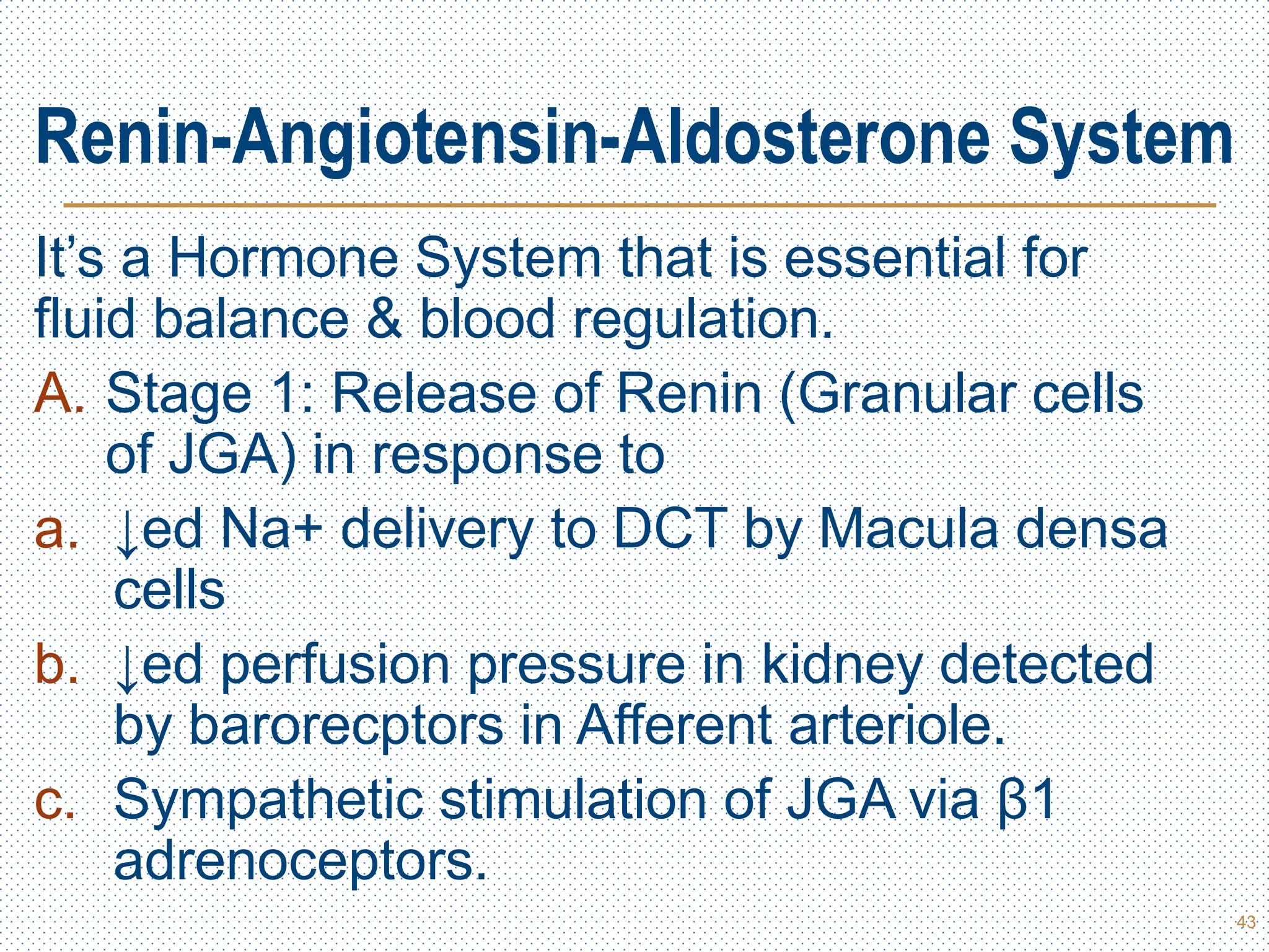 Body Fluids and Electrolyte Homeostasis | PPTX