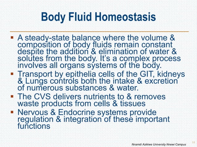 Body Fluids and Electrolyte Homeostasis | PPTX | Blood Disorders ...
