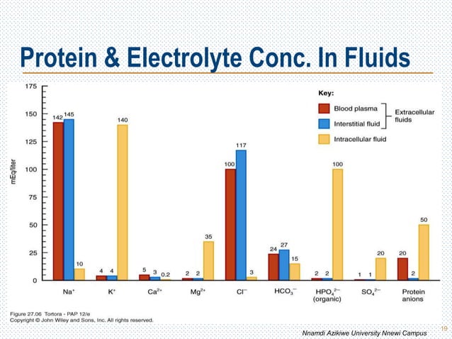 Body Fluids and Electrolyte Homeostasis | PPTX | Blood Disorders ...