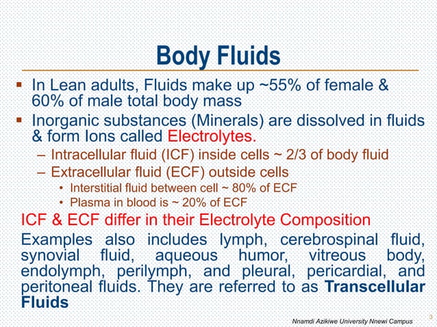 Body Fluids and Electrolyte Homeostasis | PPTX | Blood Disorders ...