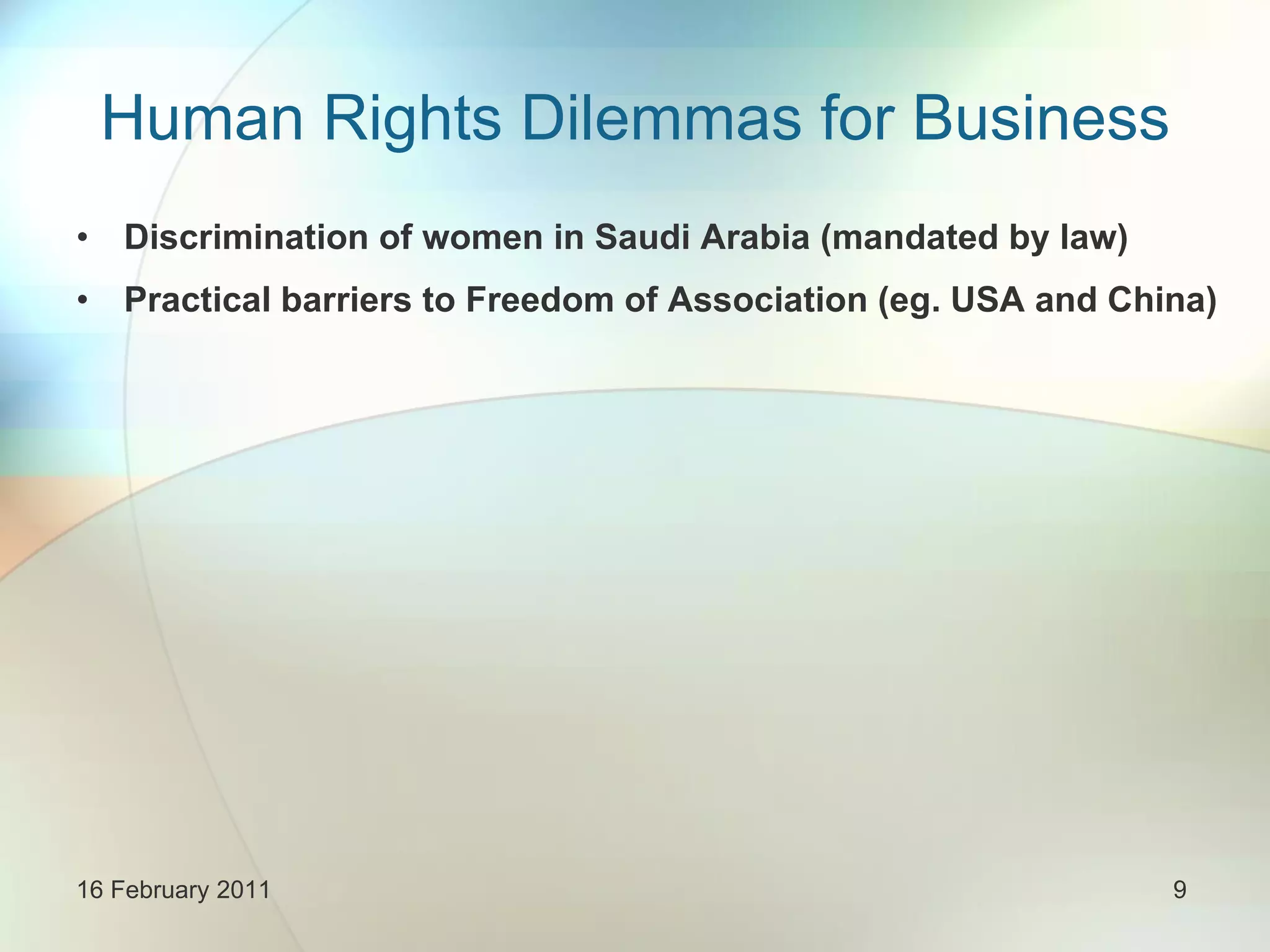 Business & Human Rights: An Introduction to the “Protect, Respect and ...