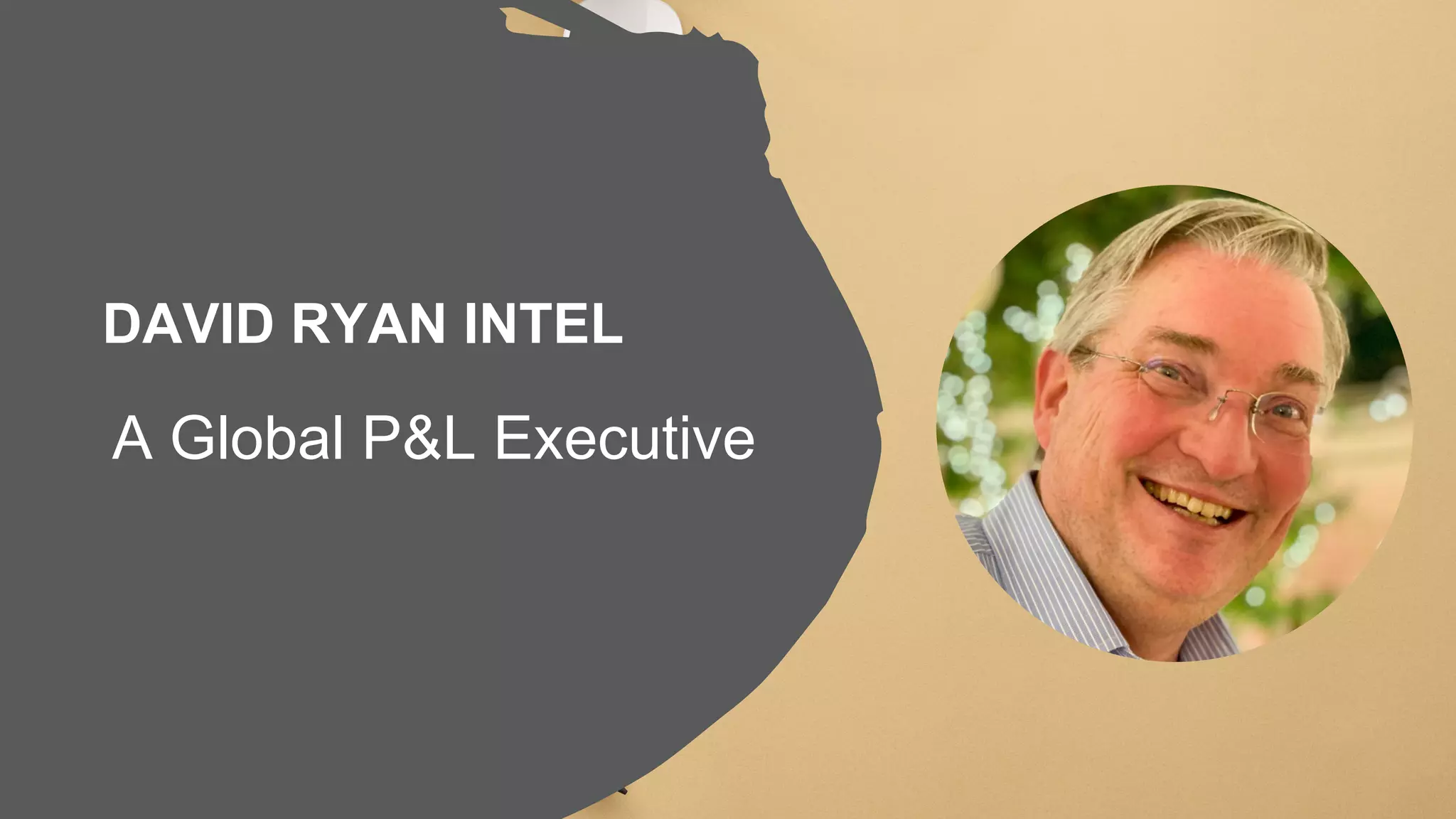 David Ryan Intel - A Global P&L Executive | PDF