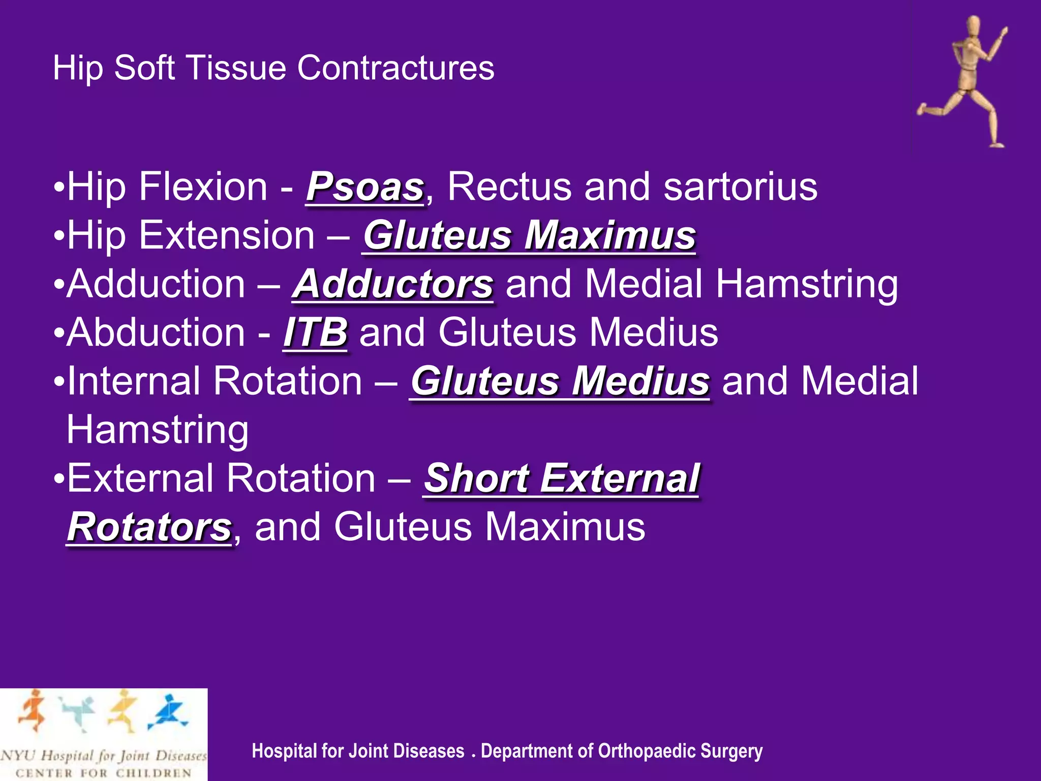 The Hip Joint in Cerebral Palsy | David S. Feldman, MD | PPTX