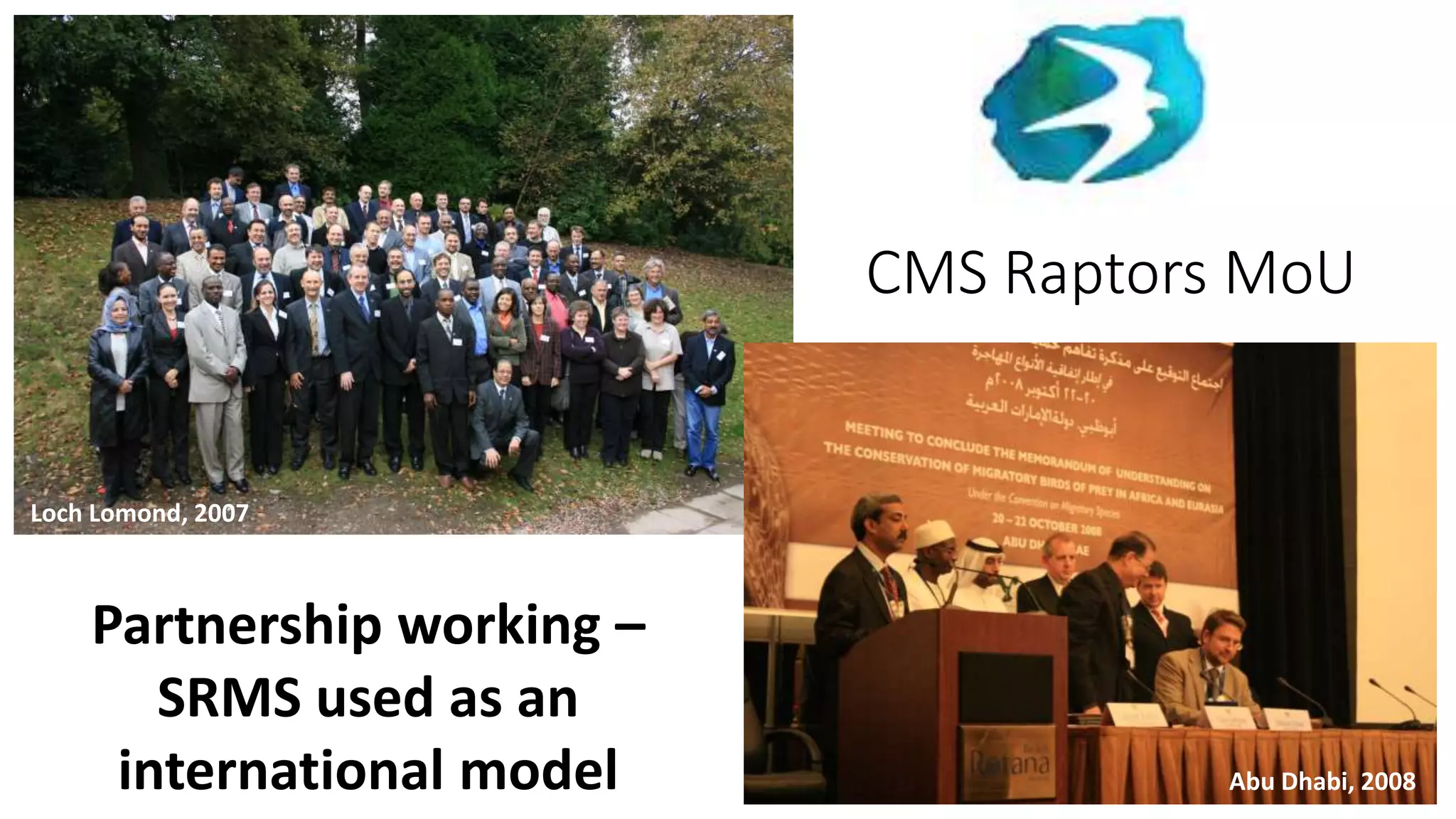 Raptor monitoring – the international context for SRMS | PPT