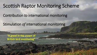 Raptor monitoring – the international context for SRMS | PPT