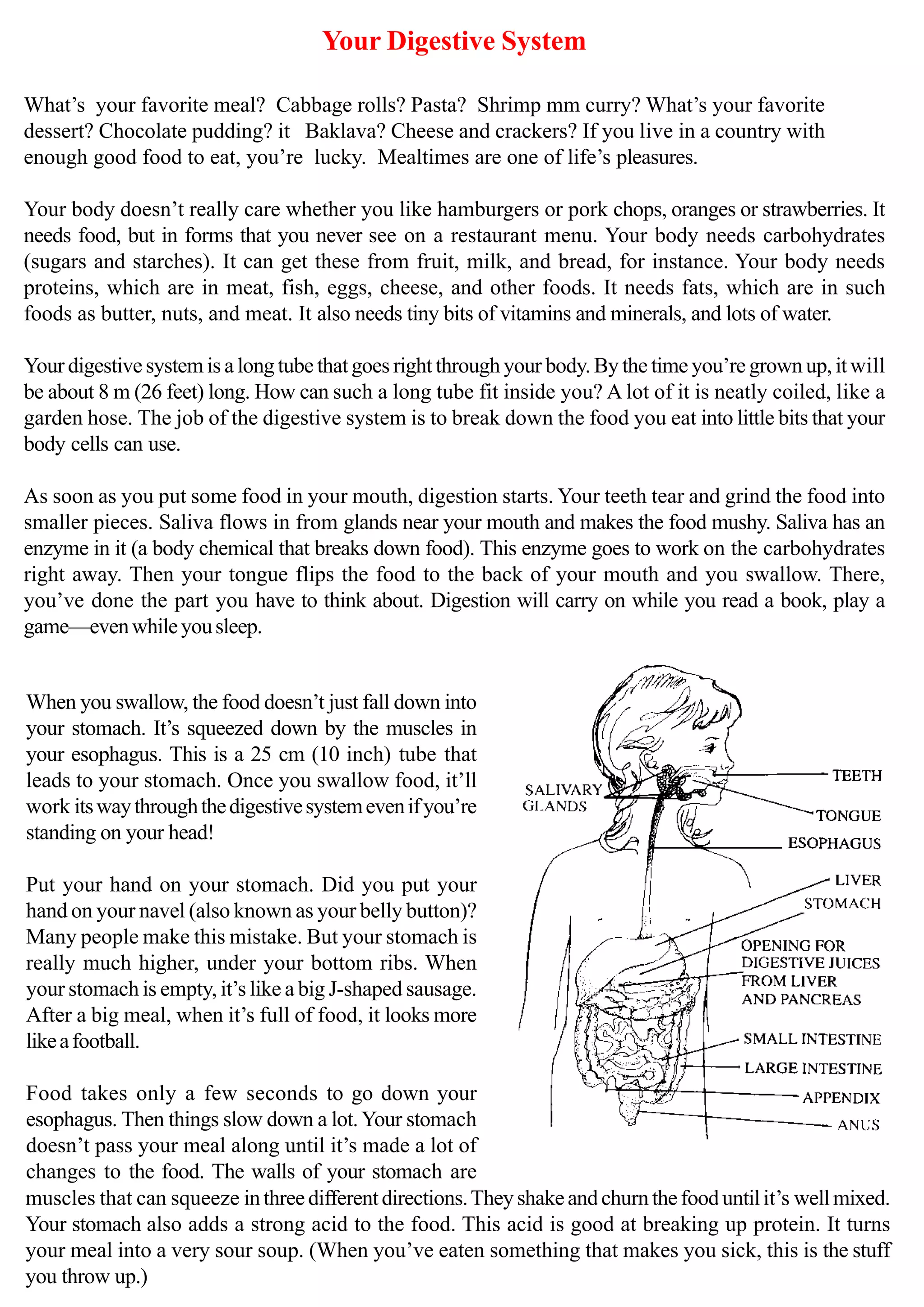 David suzuki lookingatthebody | PDF