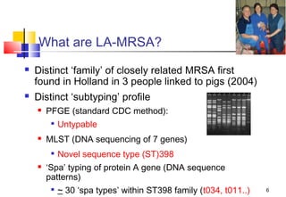 Dr. Peter Davies - Livestock associated MRSA: What are the risks to ...