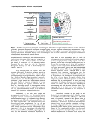 Acquired prosopagnosia: structural basis and processing impairments. | PDF