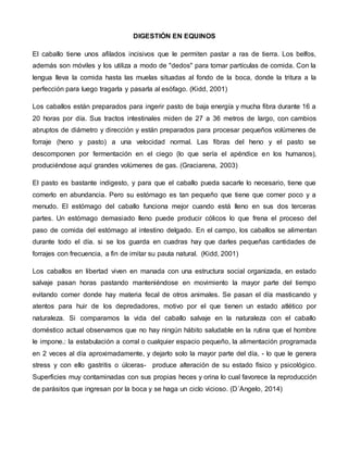 Cólico equino | DOCX