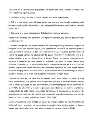 Cólico equino | DOCX