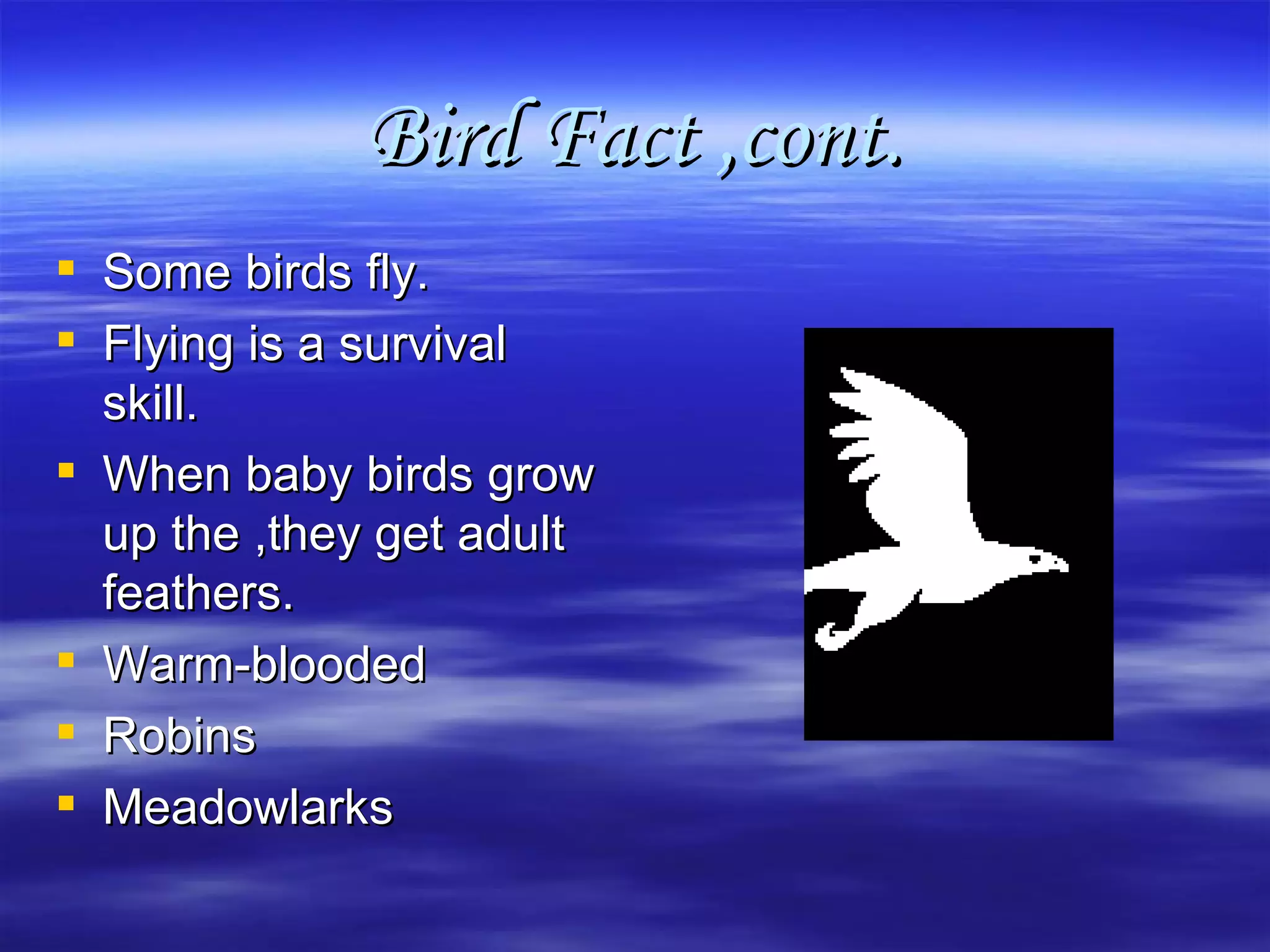 Birds | PPT