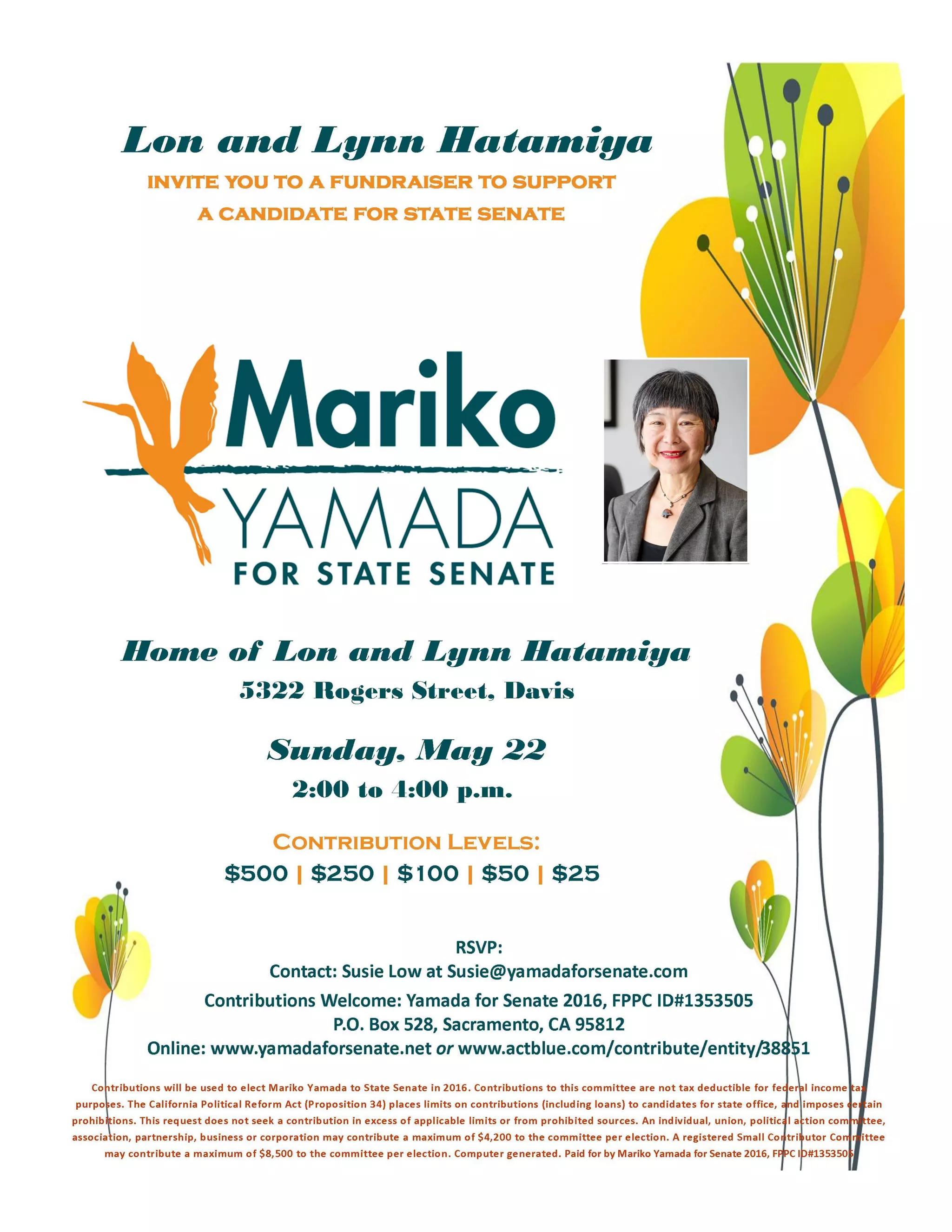 Flyer - State Senate Campaign | PDF