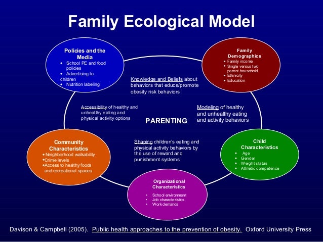 Kirsten Davison, Ph.D. - "Developing Sustainable Family-Centered Obes…