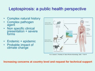 The Global Leptospirosis Environmental Action Network: Strengthening ...