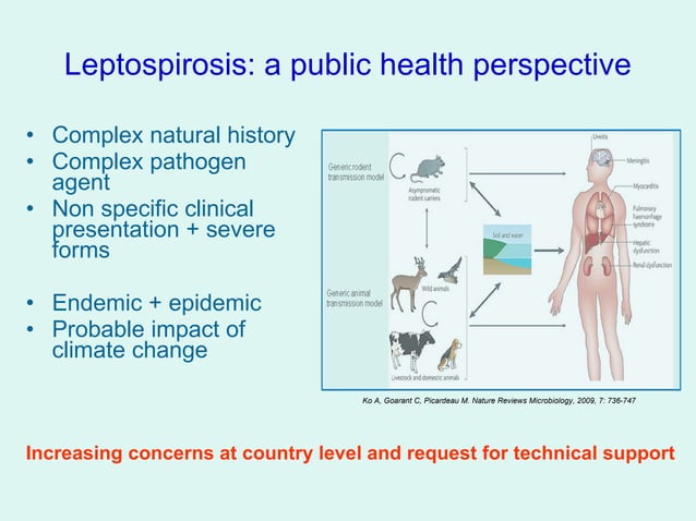 The Global Leptospirosis Environmental Action Network: Strengthening the public health ...