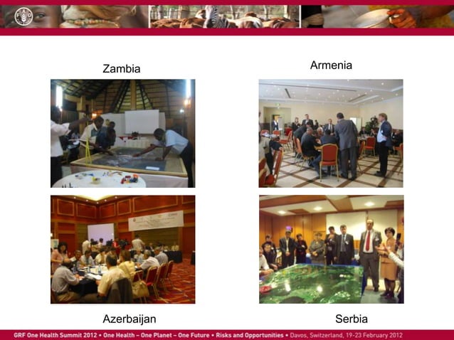 Strengthening One Health approaches through tabletop simulation ...