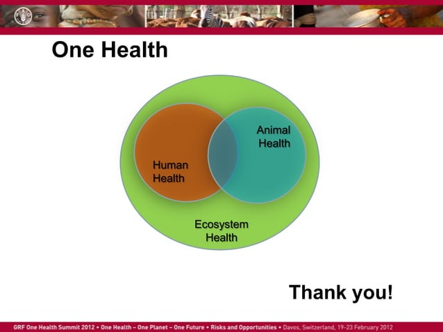 Strengthening One Health approaches through tabletop simulation ...