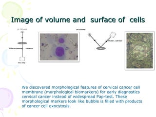Morphological and Spectral Markers of Cervical Cancer Cells | PPT
