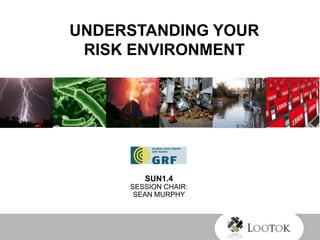 Understanding your risk environment | PPT