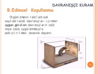 Davranişsal yaklaşim nazli yilmaz | PPTX