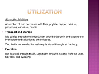 Zinc in the Body | PPT