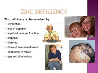 Zinc in the Body | PPT