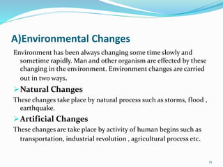 Energy & Environment Engg | PPTX