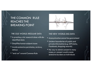 Liza Dawson, "The Common Rule and Research with Data, Big and Small" | PPT