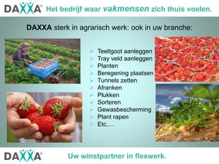 Daxxa presentatie tuinbouw | PDF