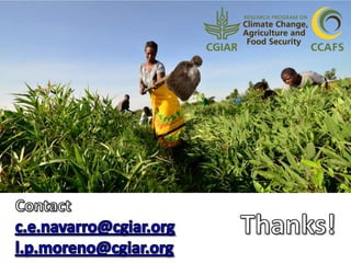 Brief introduction to Ecocrop as a tool for crop suitability analysis ...