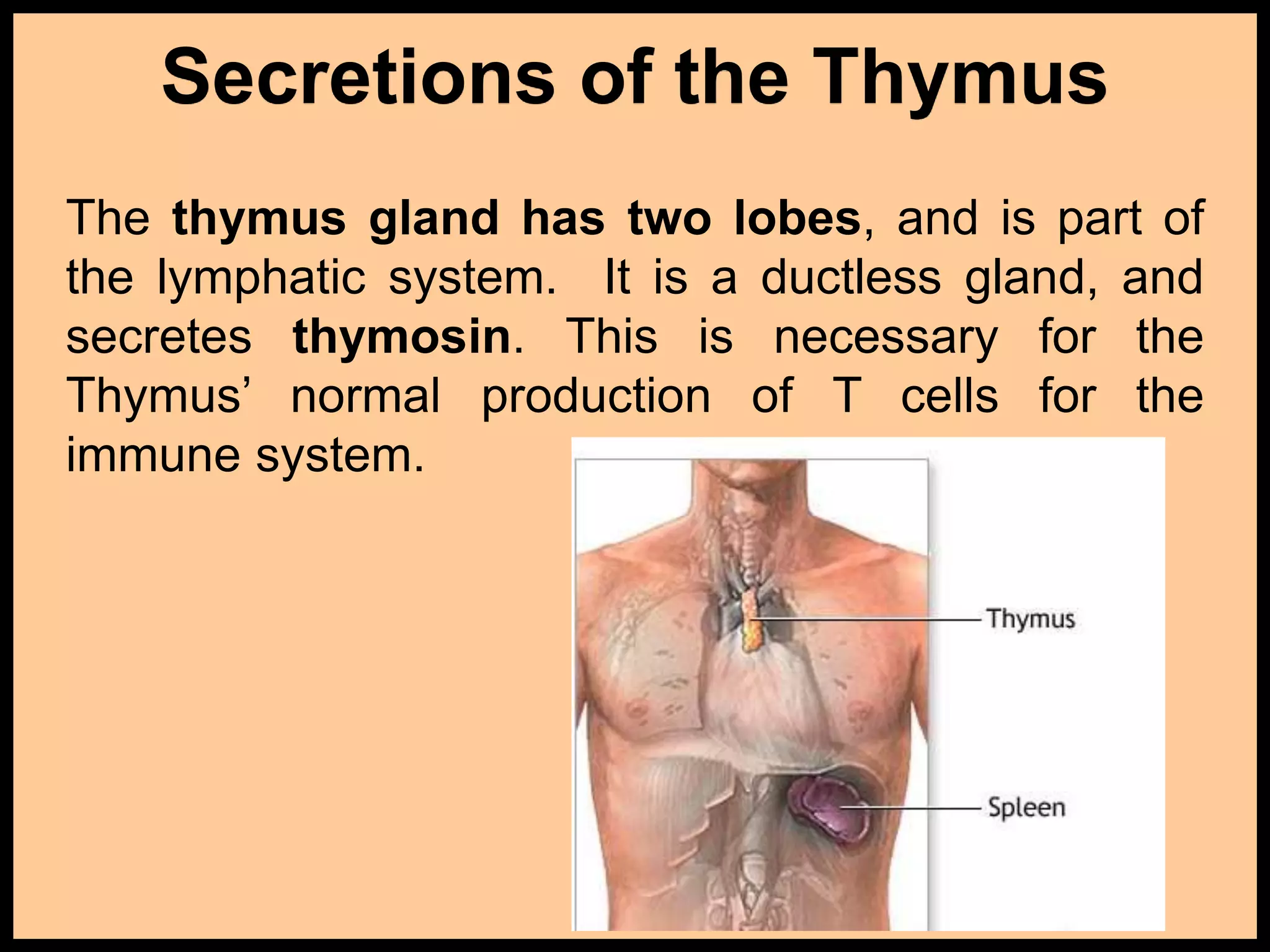 Day-1-Parts-of-the-Endocrine-System.ppt