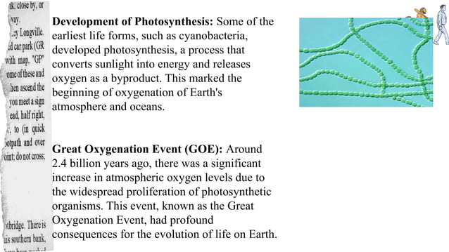 day-1-pre-cambrian-era start of the life existence.pptx