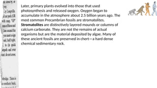day-1-pre-cambrian-era start of the life existence.pptx