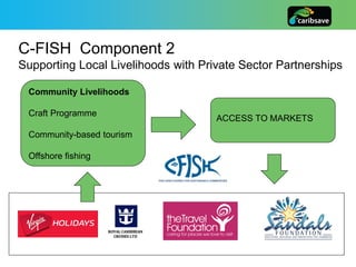 Caribbean Fish Sanctuaries Initiative (C-fish) | PDF | Zoos & Aquariums ...