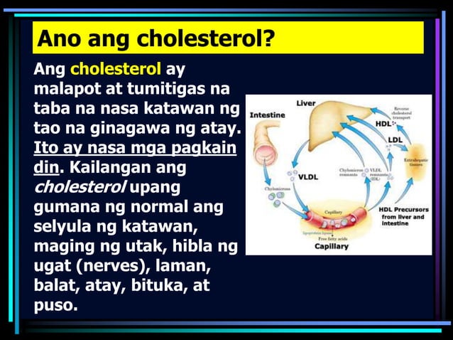 Day-2-Ano-ang-Cholesterol.pptx