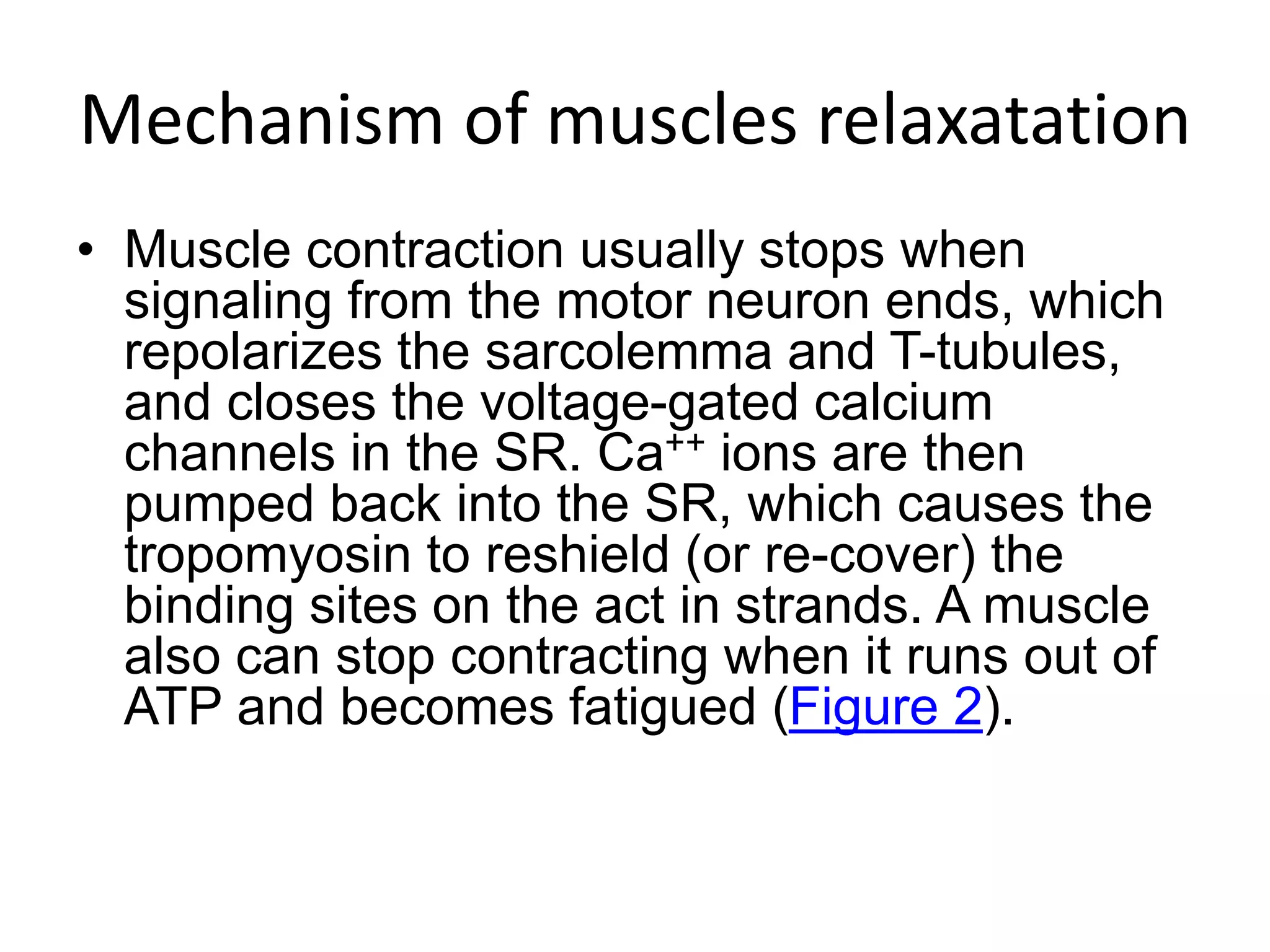 Day 4 skeletal & smooth muscle contraction | PPTX