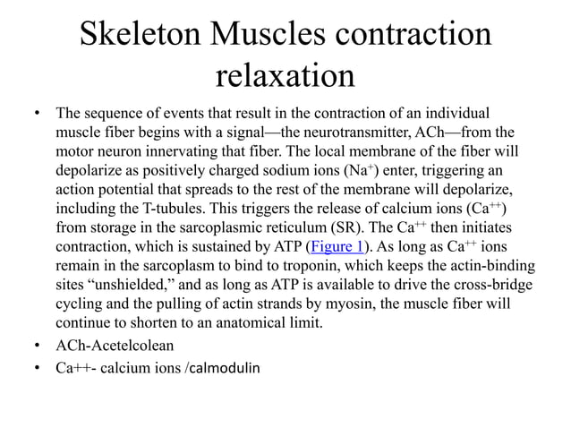 Day 4 skeletal & smooth muscle contraction | PPTX