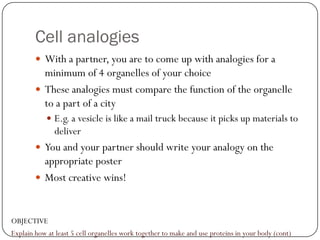 Day in-the-life-of-a-cell | PPTX