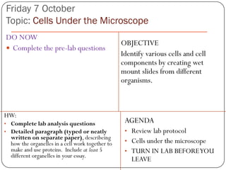 Day in-the-life-of-a-cell | PPTX