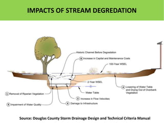 Restoring Natural Drainage System of Delhi | PPTX